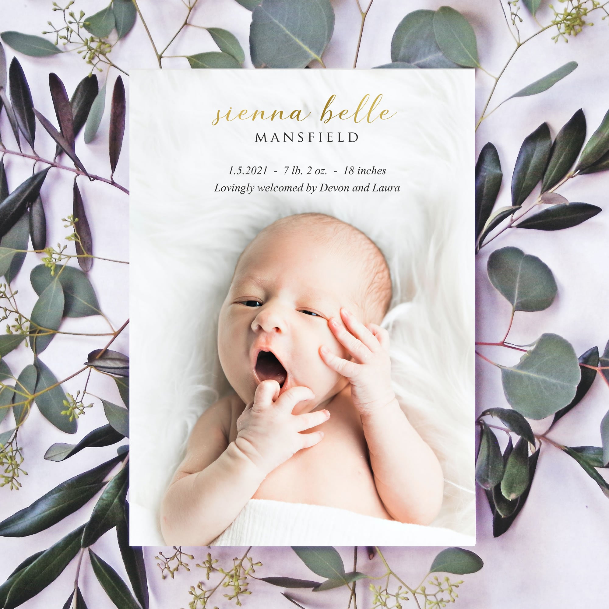 B A B Y – Bushel & Peck Paper