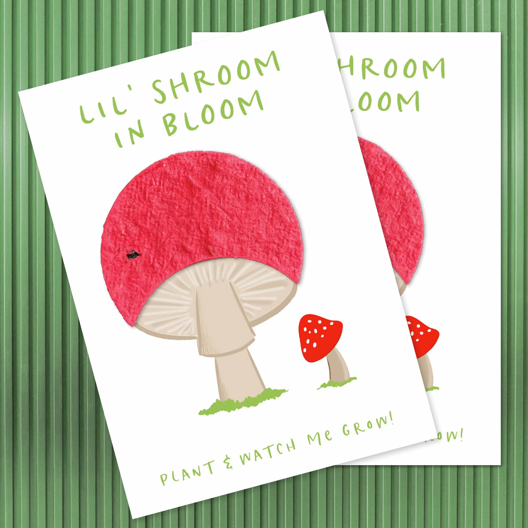 SEED PAPER FAVORS | SHROOM IN BLOOM – Bushel & Peck Paper
